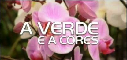 Newsletter Julho 2012 | Manifesto verde