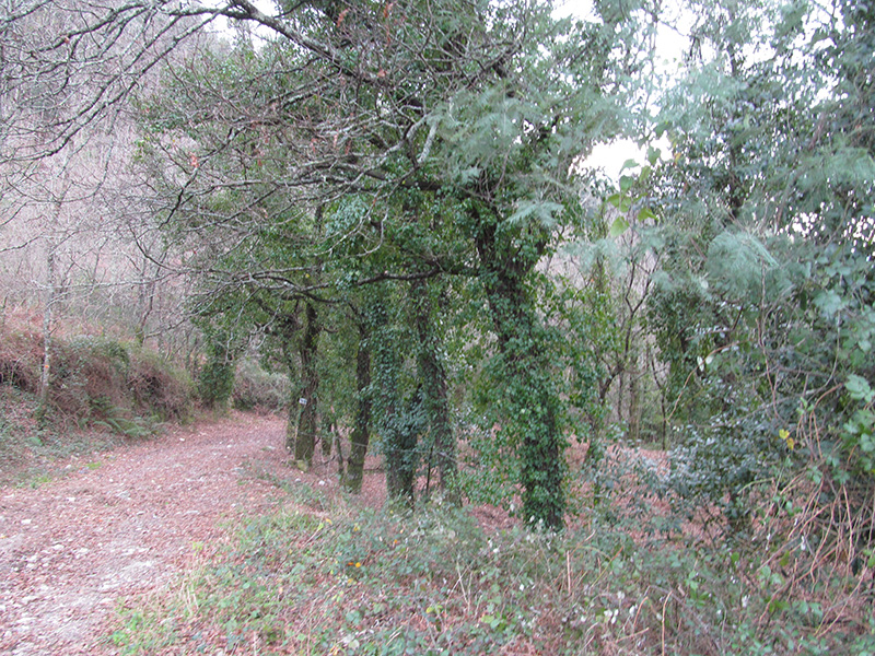 Caminhada: Nascente do Rio Este | Manifesto verde